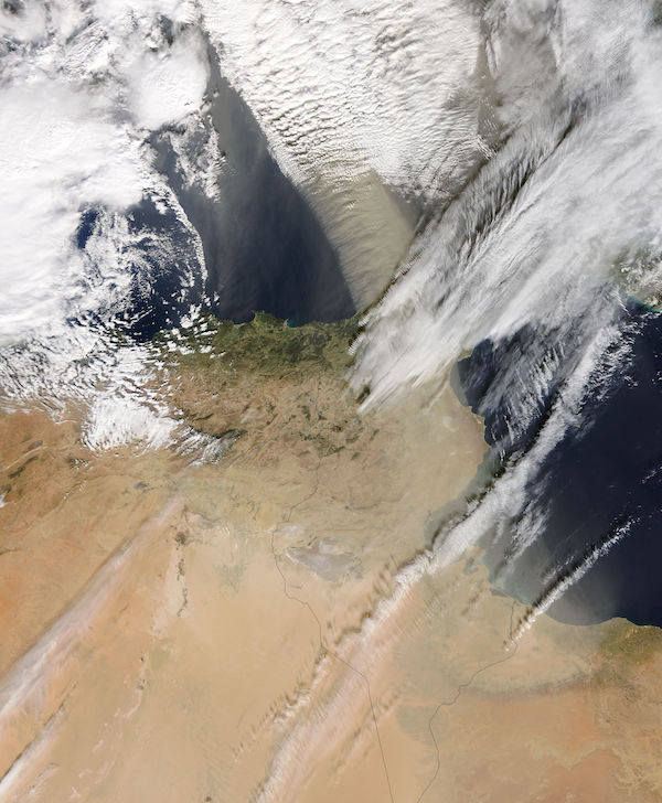 MODIS Web