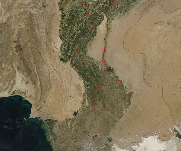 MODIS Web