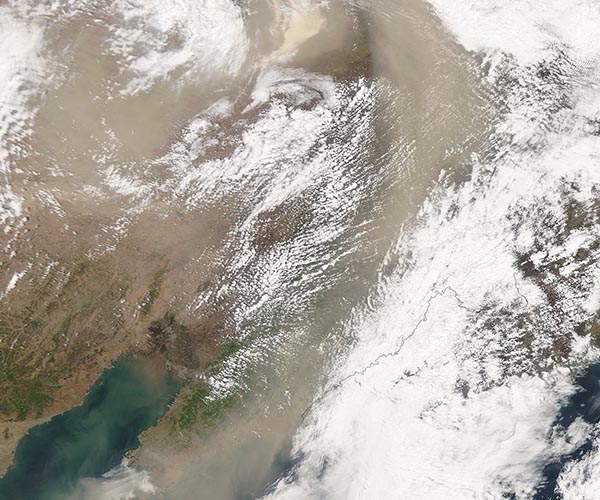 MODIS Web