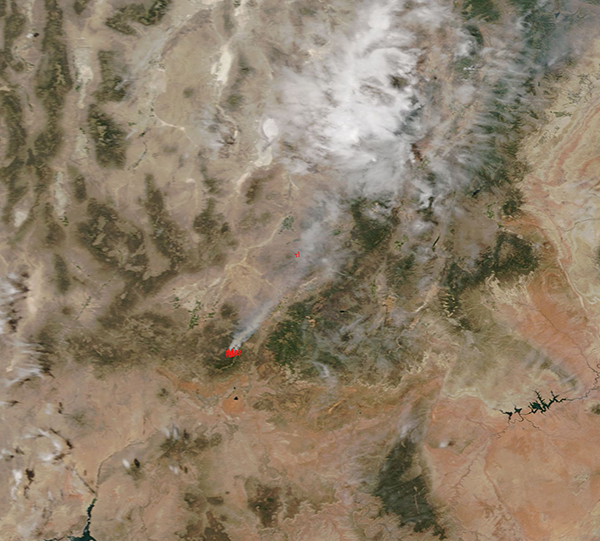 MODIS Web