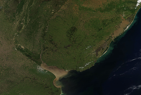 MODIS Web